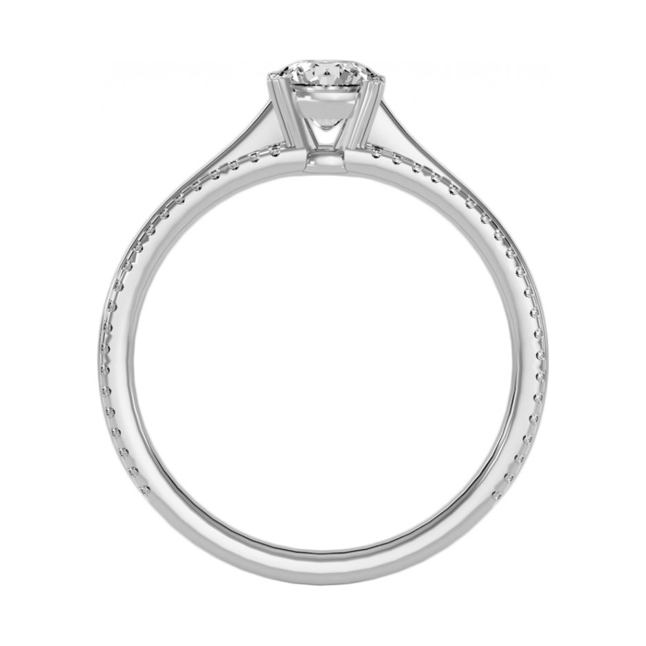 World of Rings | Home